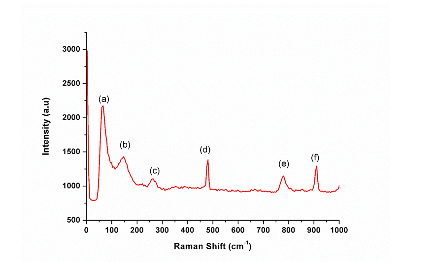 Solved Raman Spectroscopy Is Widely Used To Analyse The