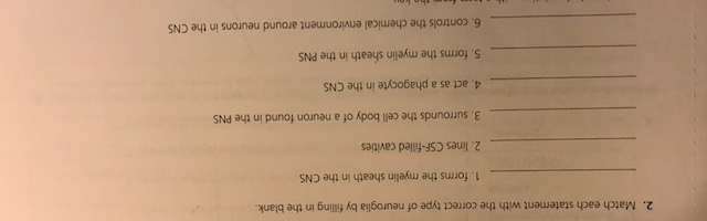 Solved 2. Match each statement with the correct type of | Chegg.com