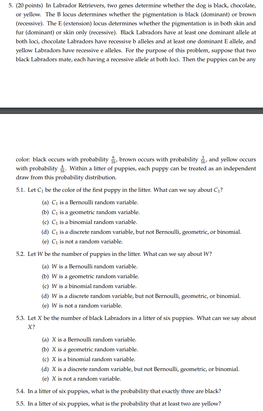 5. (20 points) In Labrador Retrievers, two genes | Chegg.com