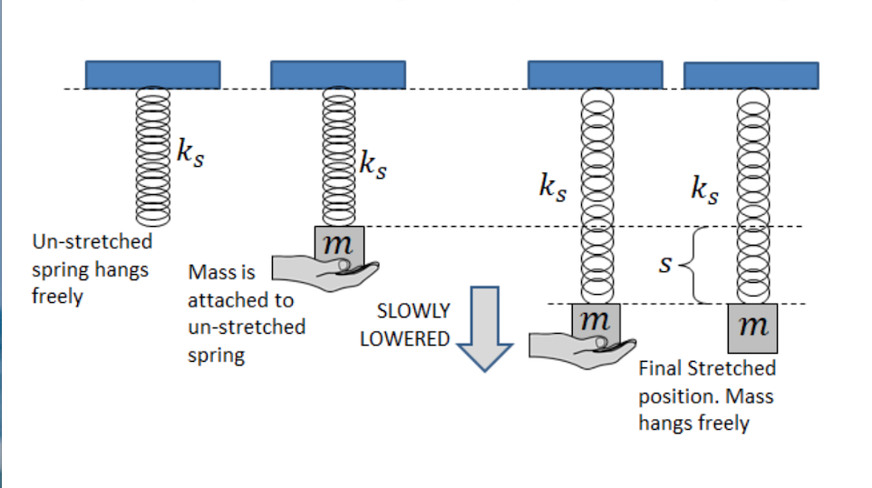 Solved A spring, stiffness constant, ks hangs vertically | Chegg.com