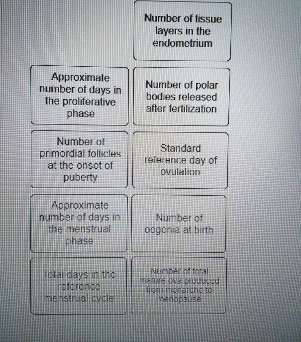 Solved Place the following labels in order from most to | Chegg.com