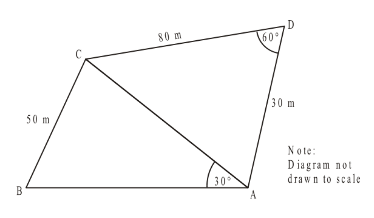 Solved Using triangle ACD, calculate the length of side AC. | Chegg.com