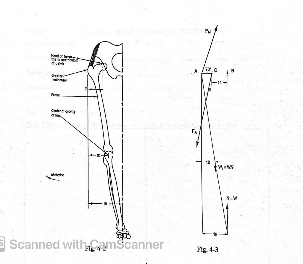 Solved 6. [1pt] Which of the following statements are | Chegg.com