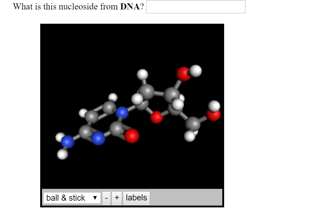 Solved What is this nucleoside from DNA? ball & stick v | Chegg.com