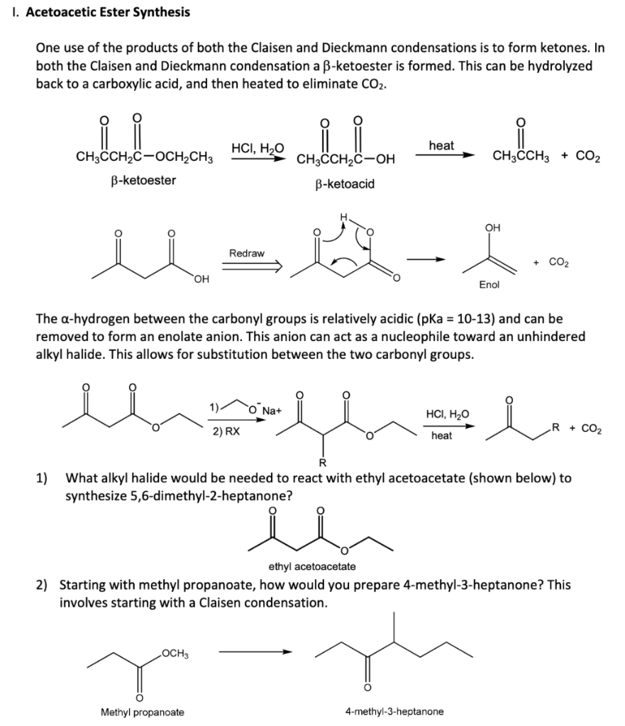 Solved Acetoacetic Ester Synthesis One use of the products | Chegg.com