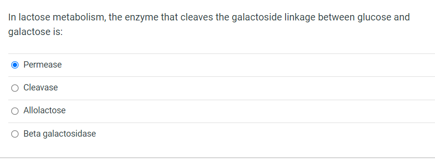 Solved Please help me with below 2 questions. The option | Chegg.com