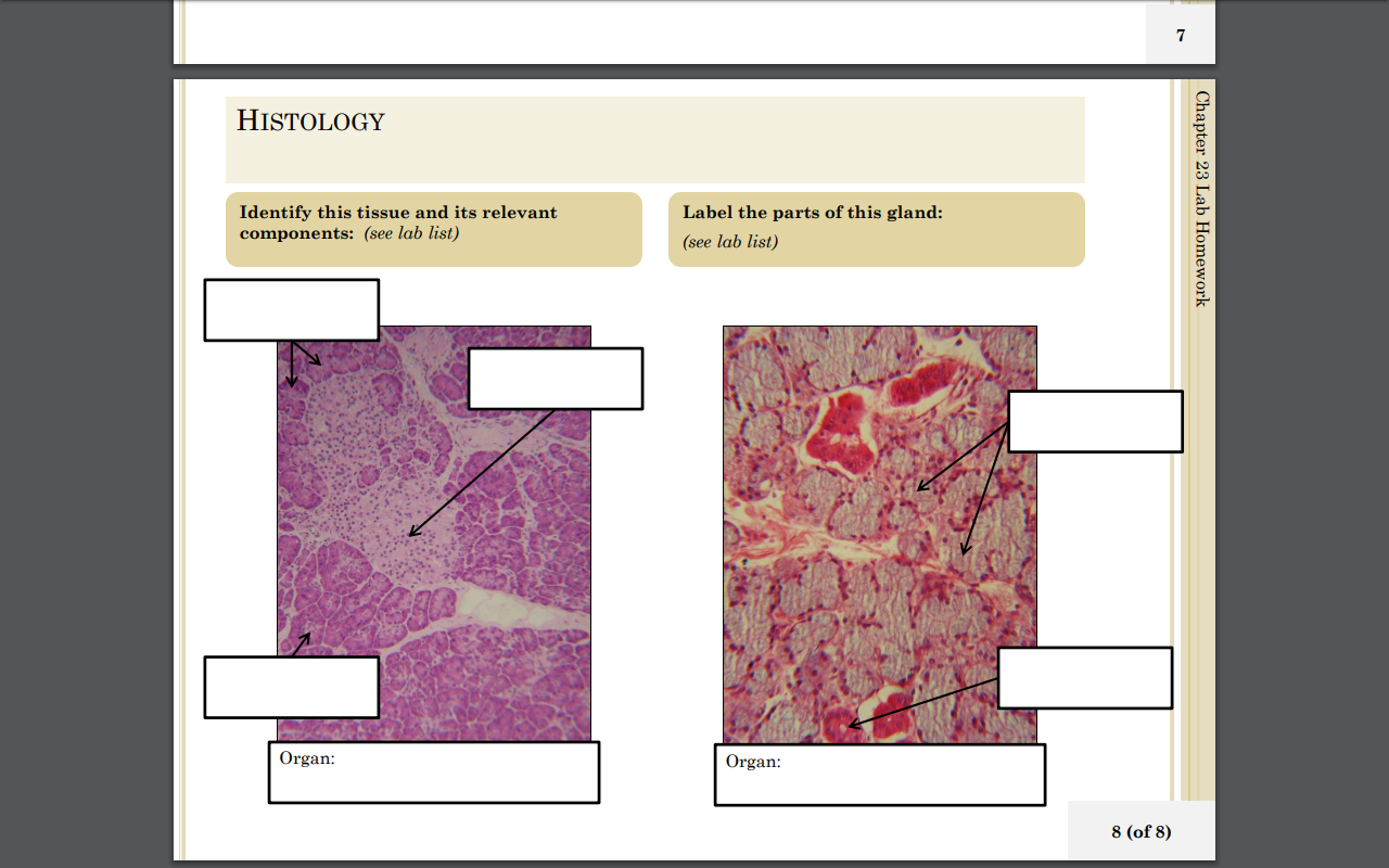 7 HISTOLOGY Identify this tissue and its relevant | Chegg.com