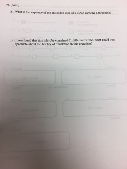 Solved Problems and Essay Questions: Provide the answers to | Chegg.com Solved Problems and Essay Questions: Provide the answers to | Chegg.com