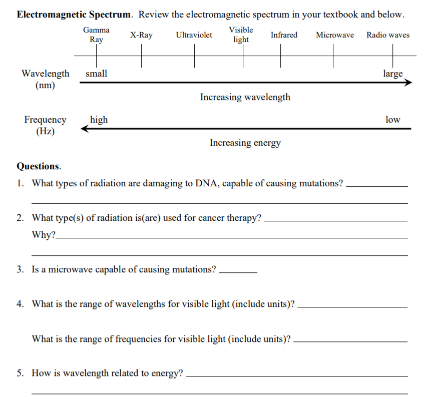 Solved Electromagnetic Spectrum. Review the electromagnetic | Chegg.com