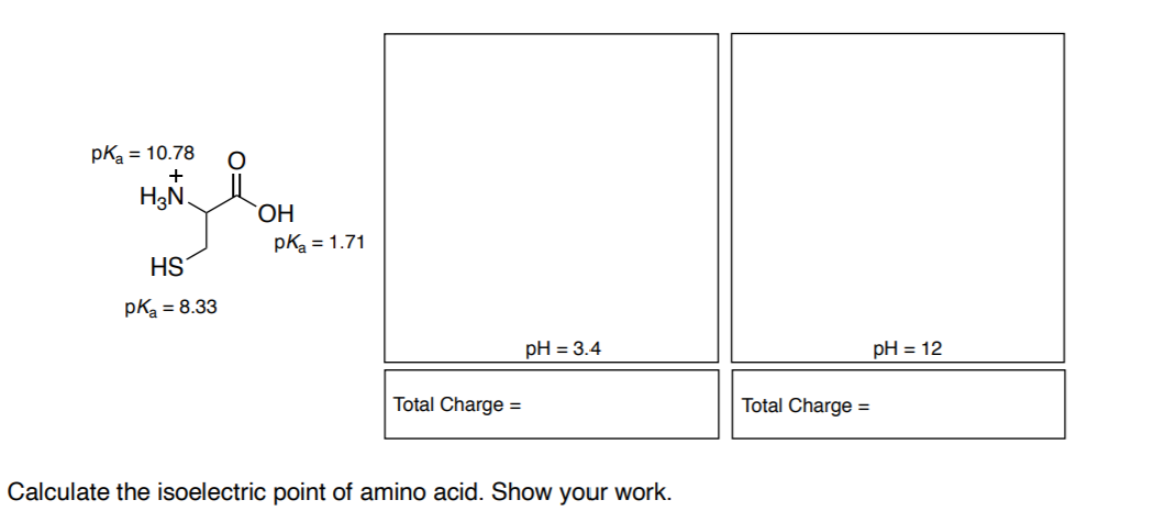 Solved First, draw the major forms of cysteine at each pH | Chegg.com