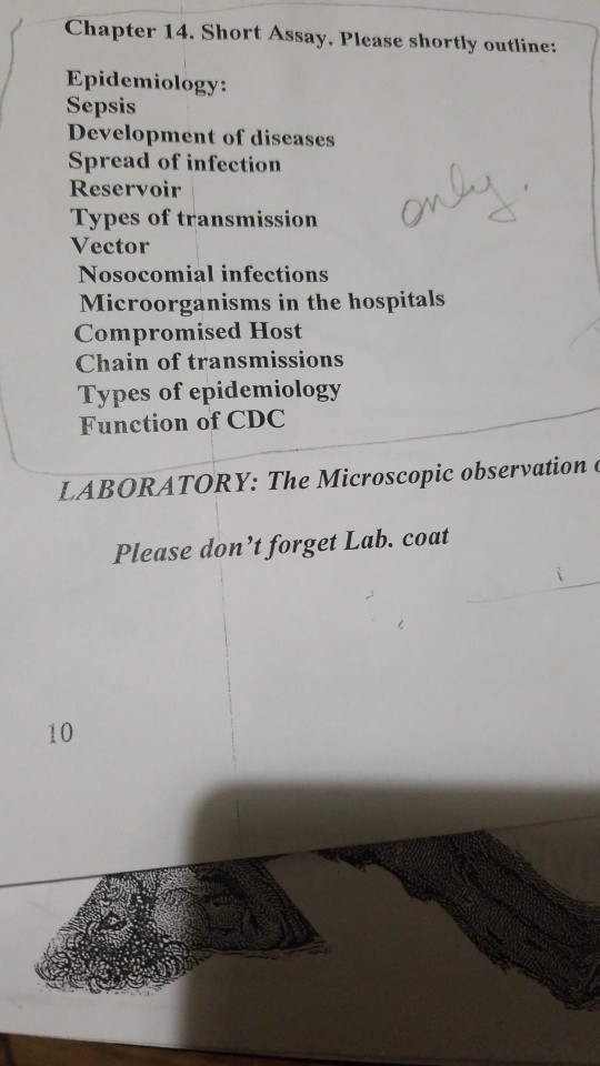 Solved Chapter 14. Short Assay. Please shortly outline: | Chegg.com