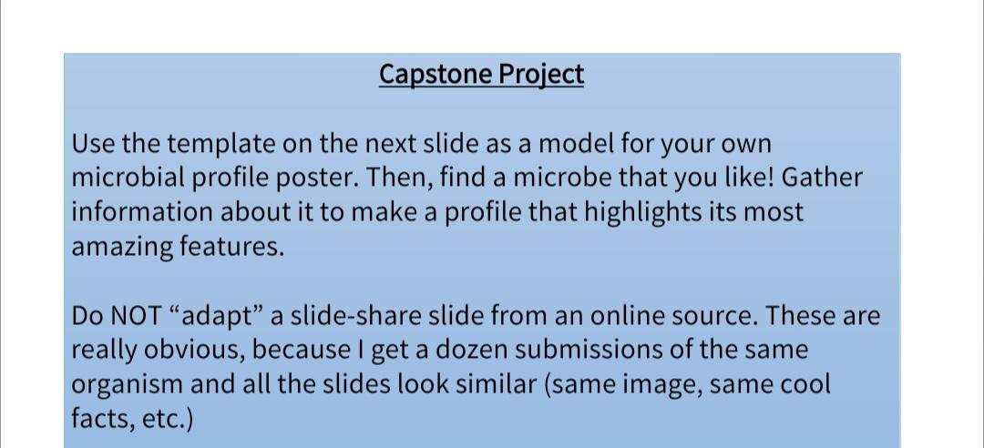 This is the "next slide" meaning this is the template | Chegg.com