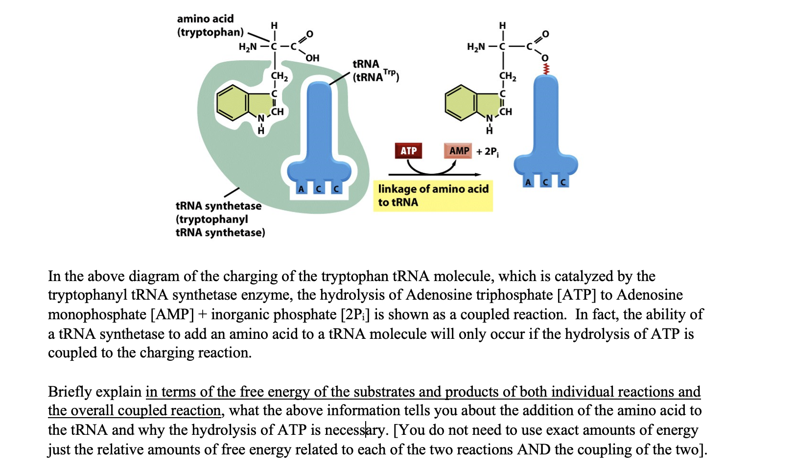 Solved In the above diagram of the charging of the | Chegg.com