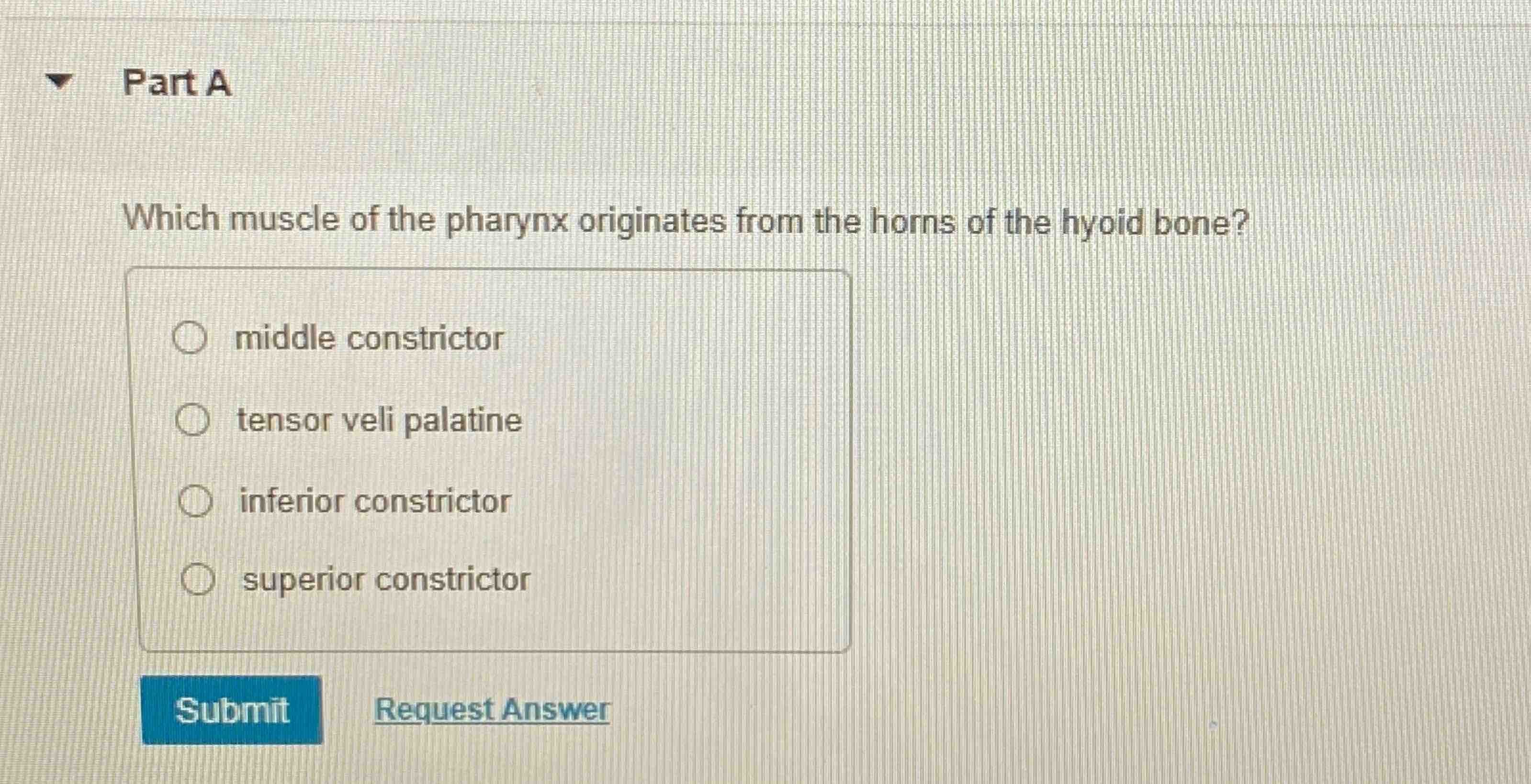 Solved Part AWhich muscle of the pharynx originates from the | Chegg.com