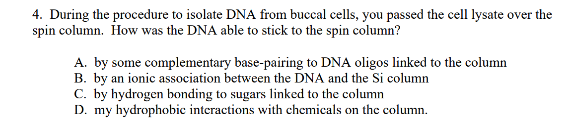 Solved 4. During the procedure to isolate DNA from buccal | Chegg.com