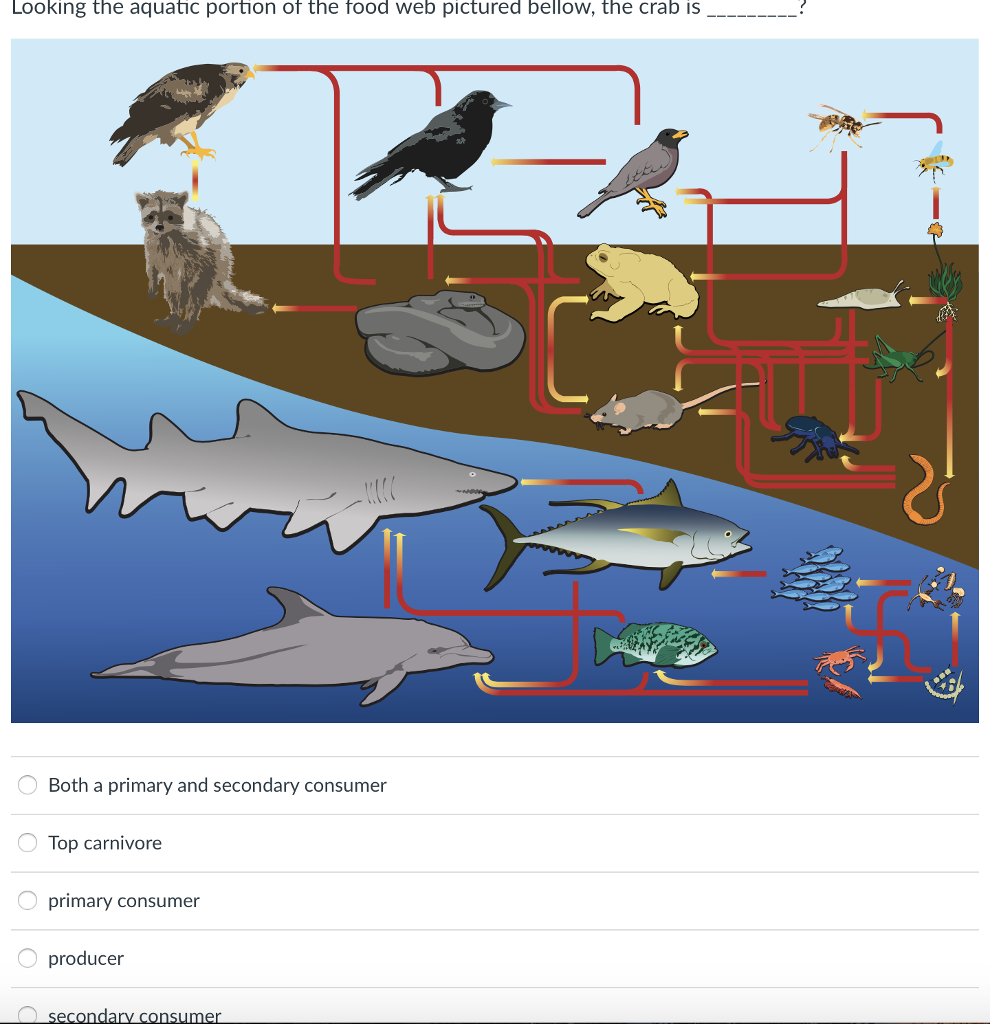 Solved The Figure below depicts the age structure of three | Chegg.com
