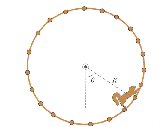 Solved Consider the squirrel running in a squirrel wheel | Chegg.com