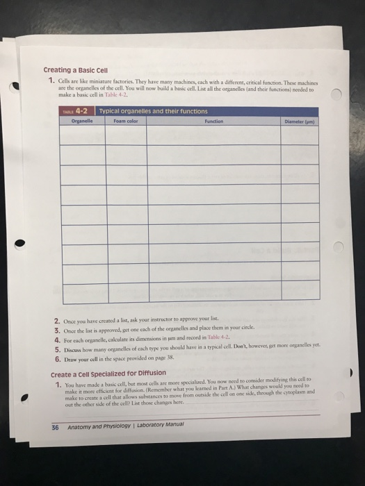 Solved Creating a Basic Cell 1. Cells are like miniature | Chegg.com