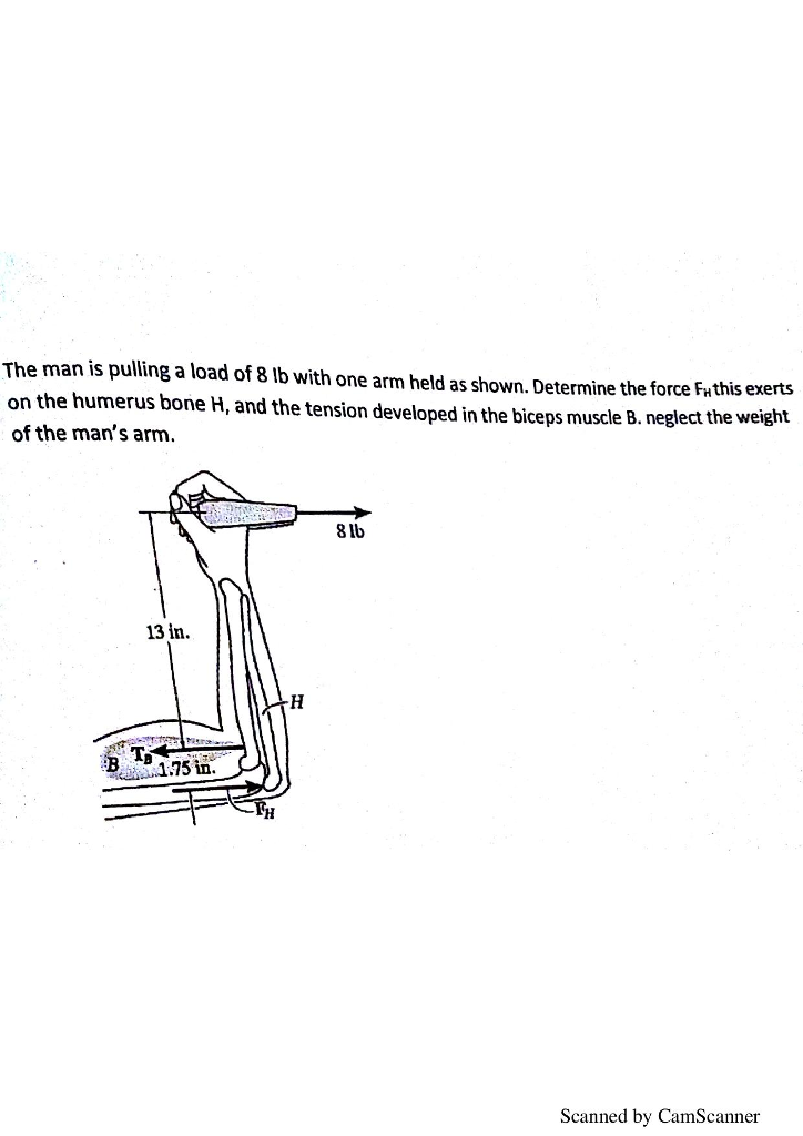 Solved The man is pulling a load of 8 lb with one arm held | Chegg.com