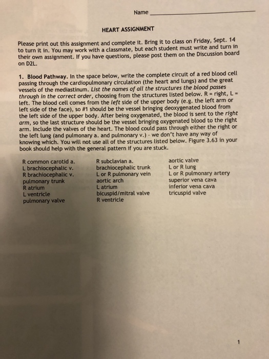 Solved Name HEART ASSIGNMENT it. Bring it to class on | Chegg.com