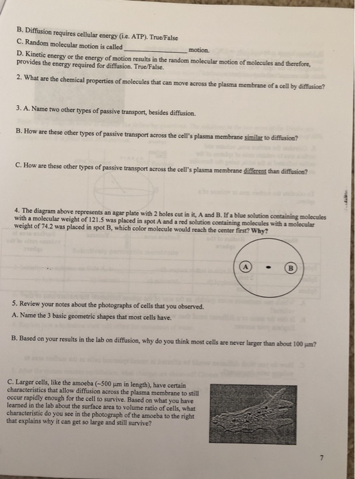 Solved Week 2 (lab 1B) continued: Scientific Notation, | Chegg.com