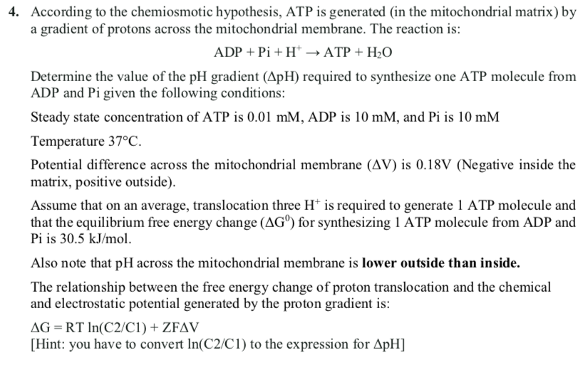 According to the chemiosmotic hypothesis, ATP is | Chegg.com