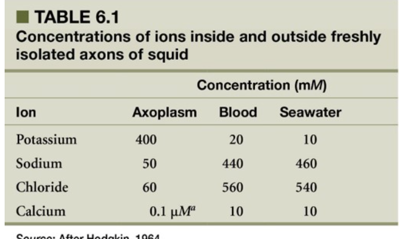 You are working with a giant squid neuron bathed in | Chegg.com