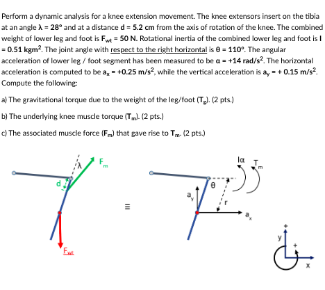 Perform a dynamic analysis for a knee extension | Chegg.com