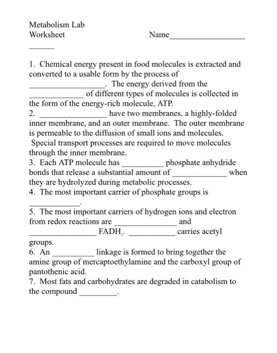 Solved Metabolism Lab Worksheet Name 1. Chemical energy | Chegg.com
