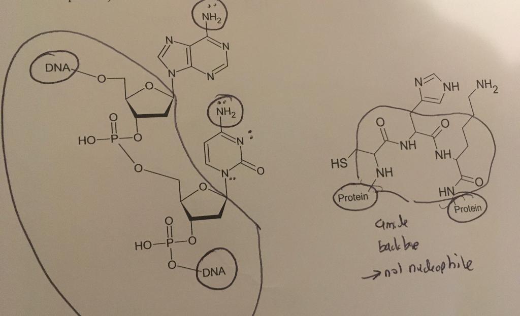 Identify what type of atomic orbital a lone pair of | Chegg.com