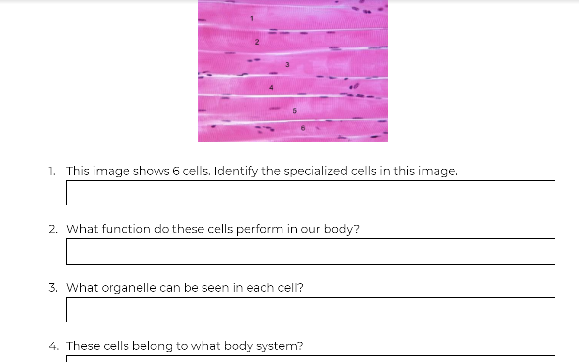 Solved Viewing Specialized Cells - #1 -#2 0909 1. Identify | Chegg.com