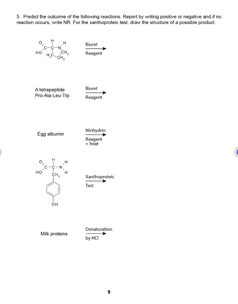 Amino Acids and Proteins Pre-Lab Assignment 1. Which | Chegg.com