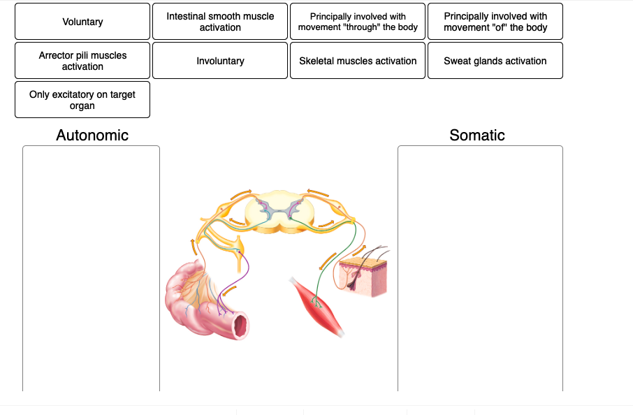 Solved 1;-Each label lists some feature of, or event at, a | Chegg.com