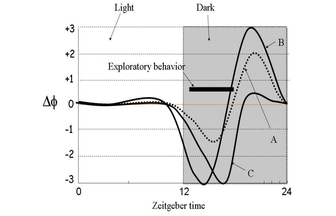 Solved Please answer with a breakdown: 1. (2 pts) About what | Chegg.com