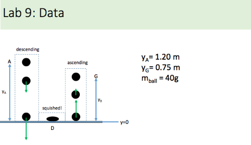 Solved Lab 9: Bouncy Ball Lab Questions .. Describe the | Chegg.com