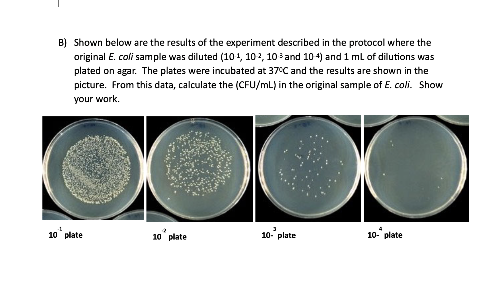 Solved B) Shown below are the results of the experiment | Chegg.com