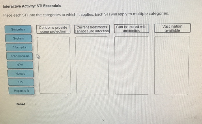 Solved Interactive Activity: STI Essentials Place each STI | Chegg.com