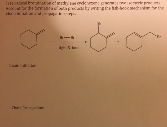 Solved Free radical bromination of methylene cyclohexene | Chegg.com