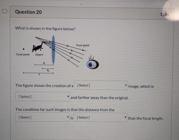 Solved D Question 20 1 pt What is shown in the figure below? | Chegg.com