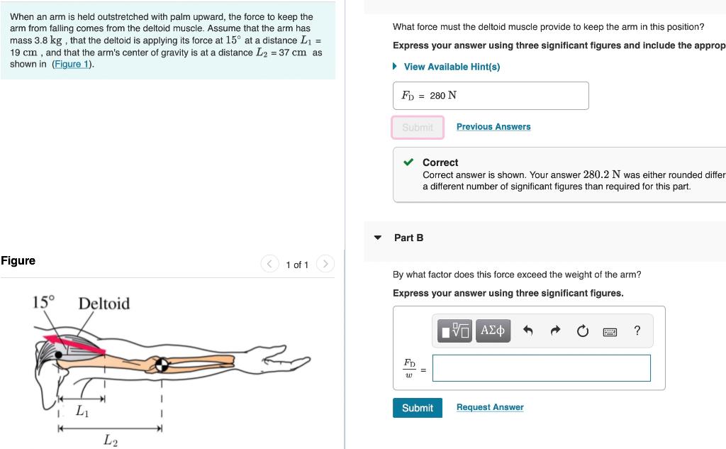 Solved When an arm is held outstretched with palm upward, | Chegg.com