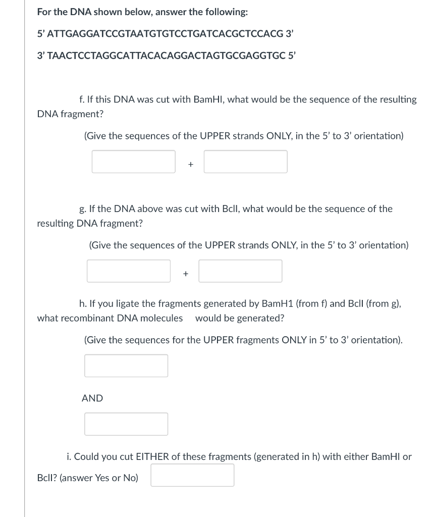 Solved For the DNA shown below, answer the following: | Chegg.com
