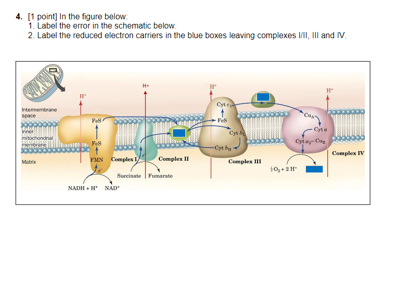 Solved 4. [1 point] In the figure below: 1. Label the error | Chegg.com