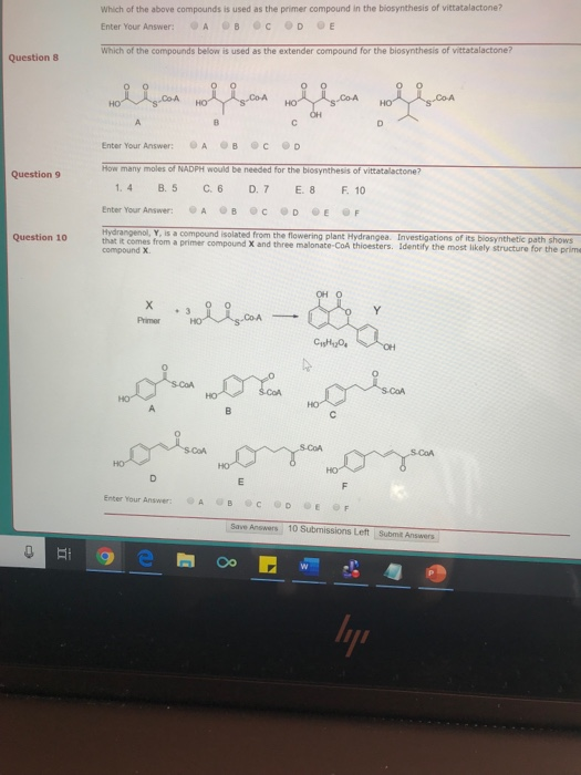 c Which of the above compounds is used as the primer | Chegg.com