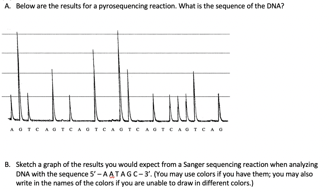 Solved A. Below are the results for a pyrosequencing | Chegg.com