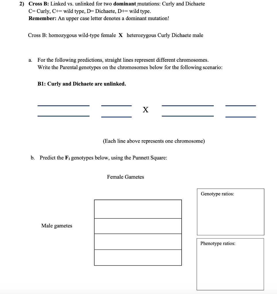 Solved 2 Cross B Linked Vs Unlinked For Two Dominant 