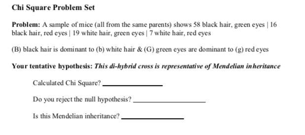 Solved In this exercise, you will examine an ear of com and | Chegg.com