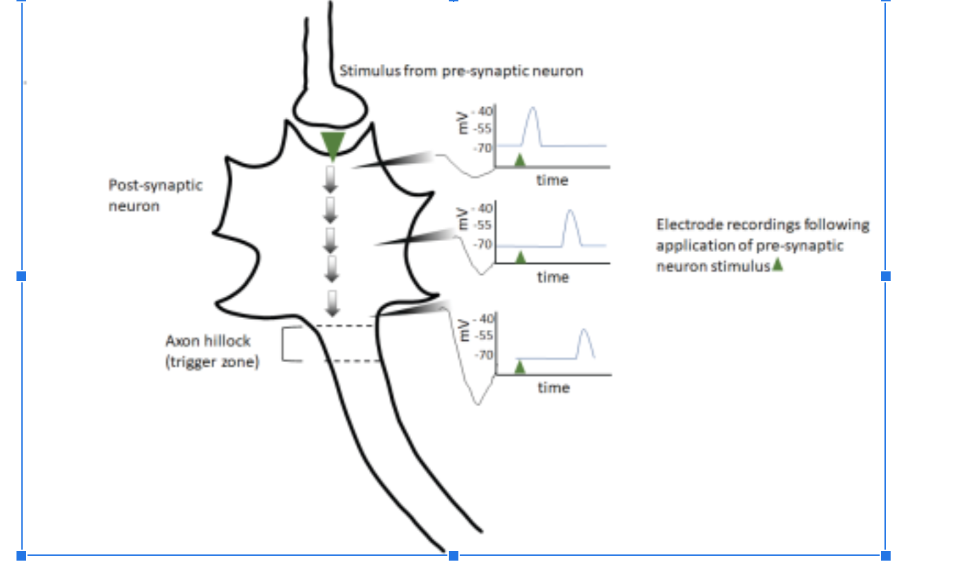 Solved 11. ﻿Refer to the following figure to answer the | Chegg.com