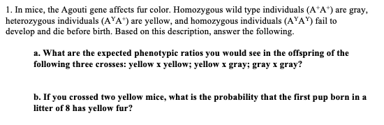 Solved 1. In mice, the Agouti gene affects fur color. | Chegg.com