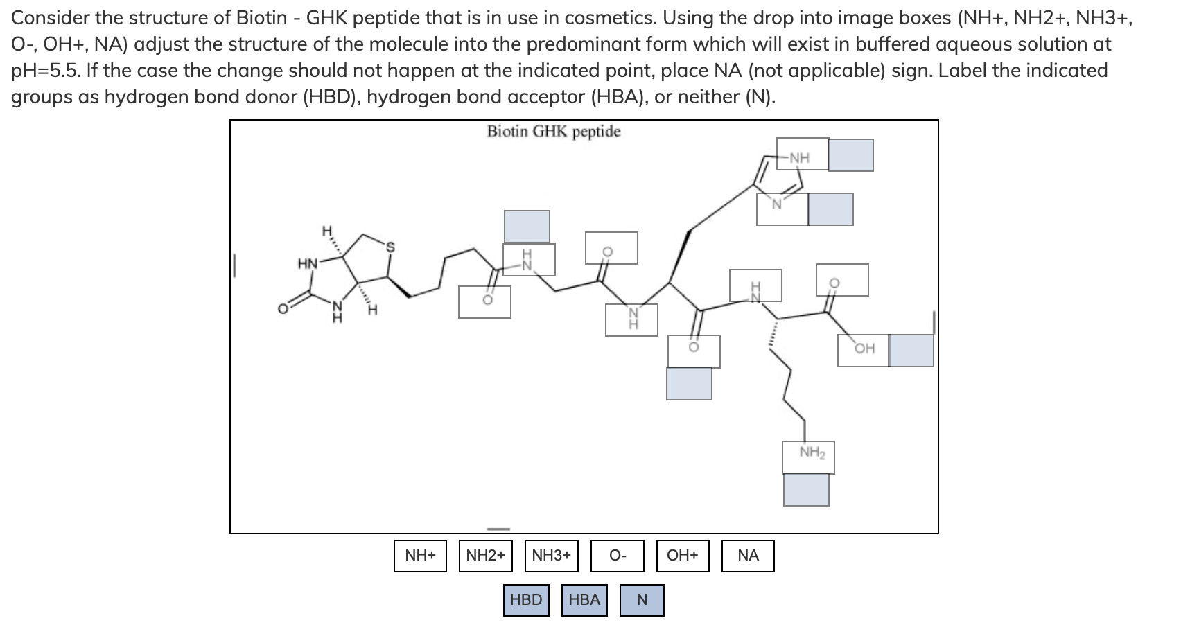 Solved Consider the structure of Biotin - GHK peptide that | Chegg.com