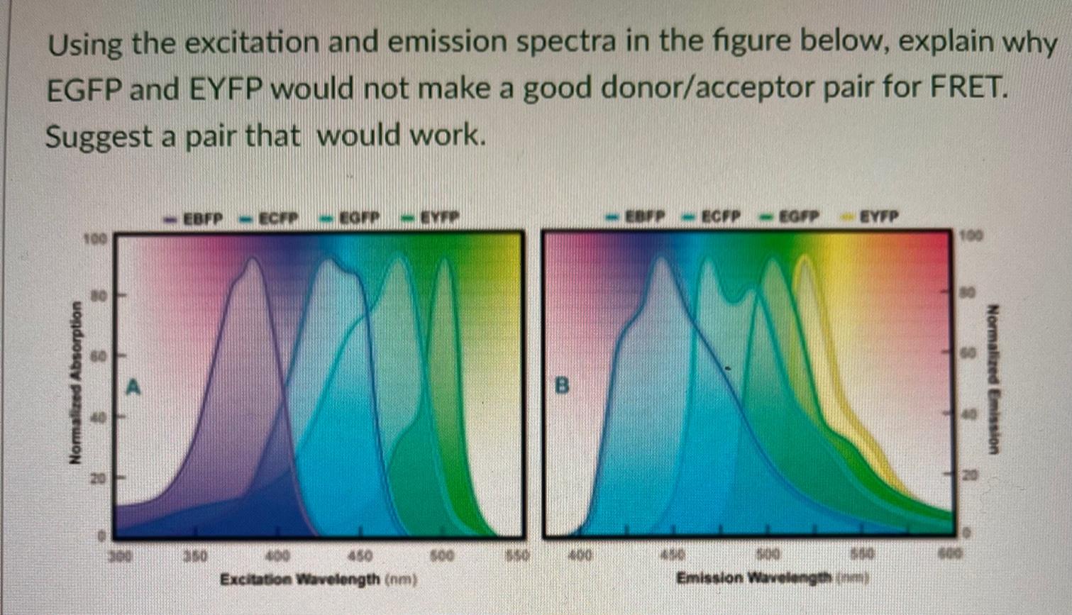 Solved Using the excitation and emission spectra in the | Chegg.com